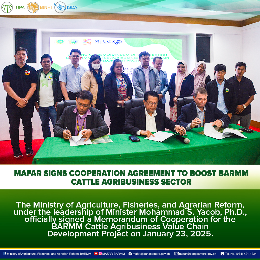 BARMM Launches Cattle Agribusiness Value Chain Development Project ...