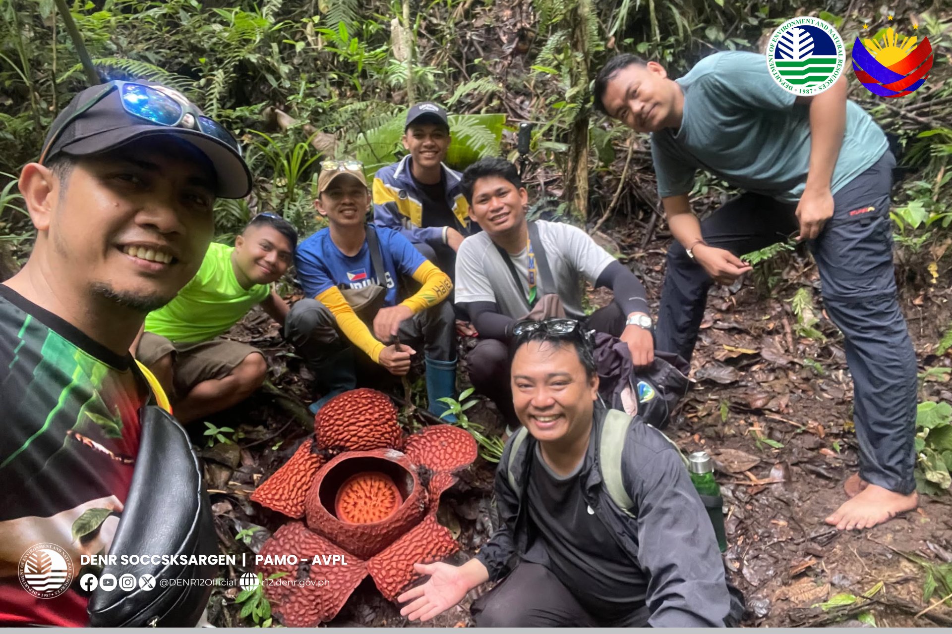 Rare Rafflesia Schadenbergiana Blooms in Lake Sebu’s Allah Valley ...