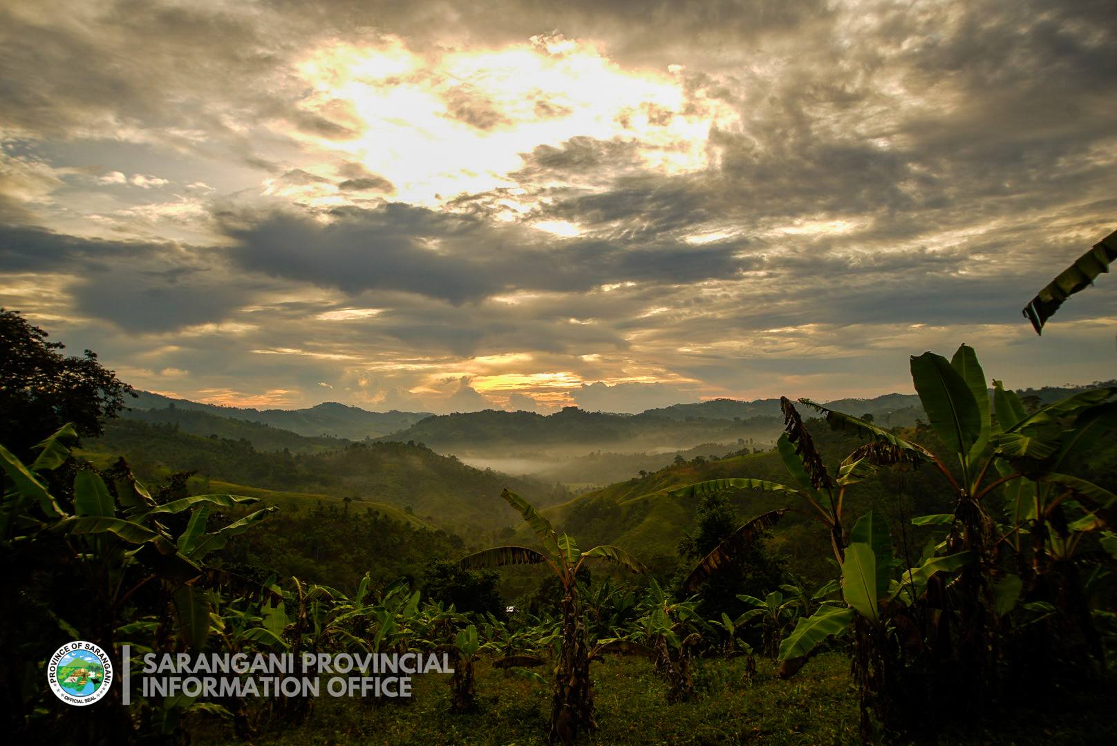 Thousands of Migratory Raptors Grace Glan Skies Amid Ongoing ...