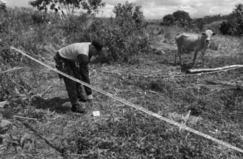 Farmer killed, relative injured in Alamada shooting incident - The ...