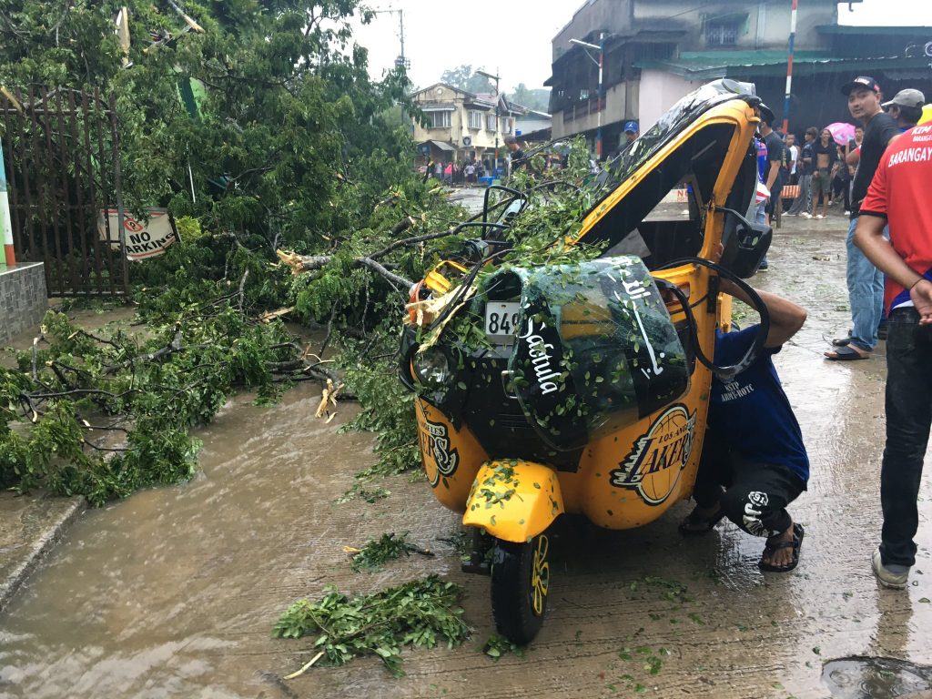A Morning of Tragedy and Compassion: Fallen Acacia Trees in Jolo Claim ...