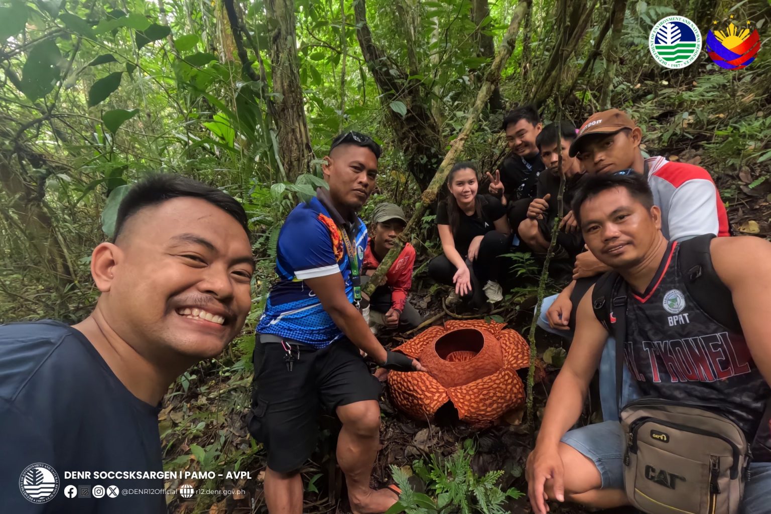 Massive Bloom of Critically Endangered Rafflesia schadenbergiana ...