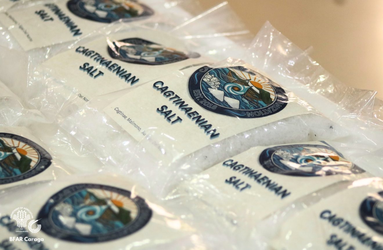 CARAGA strengthens local salt industry with new community-based ...