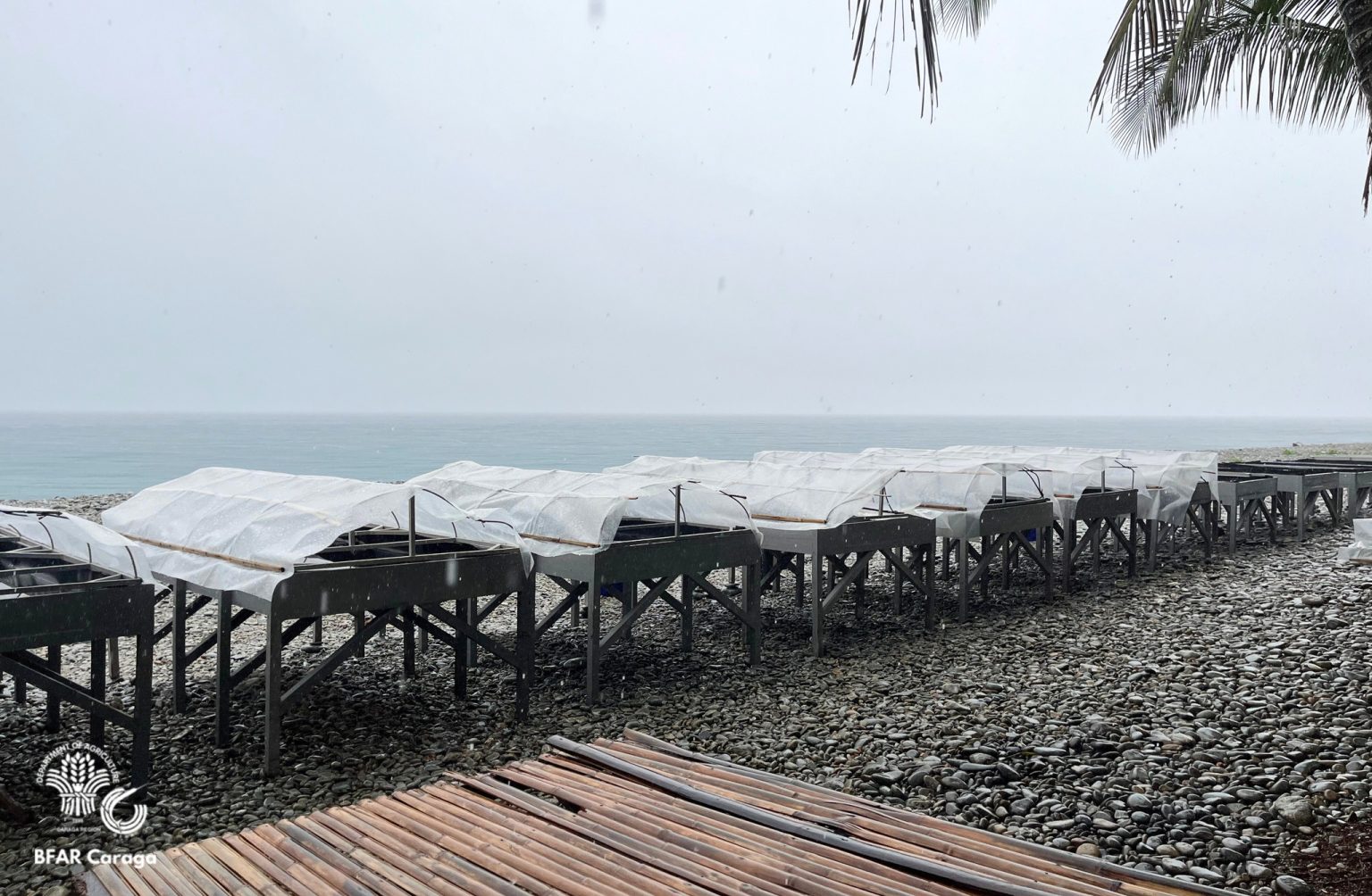 CARAGA strengthens local salt industry with new community-based ...