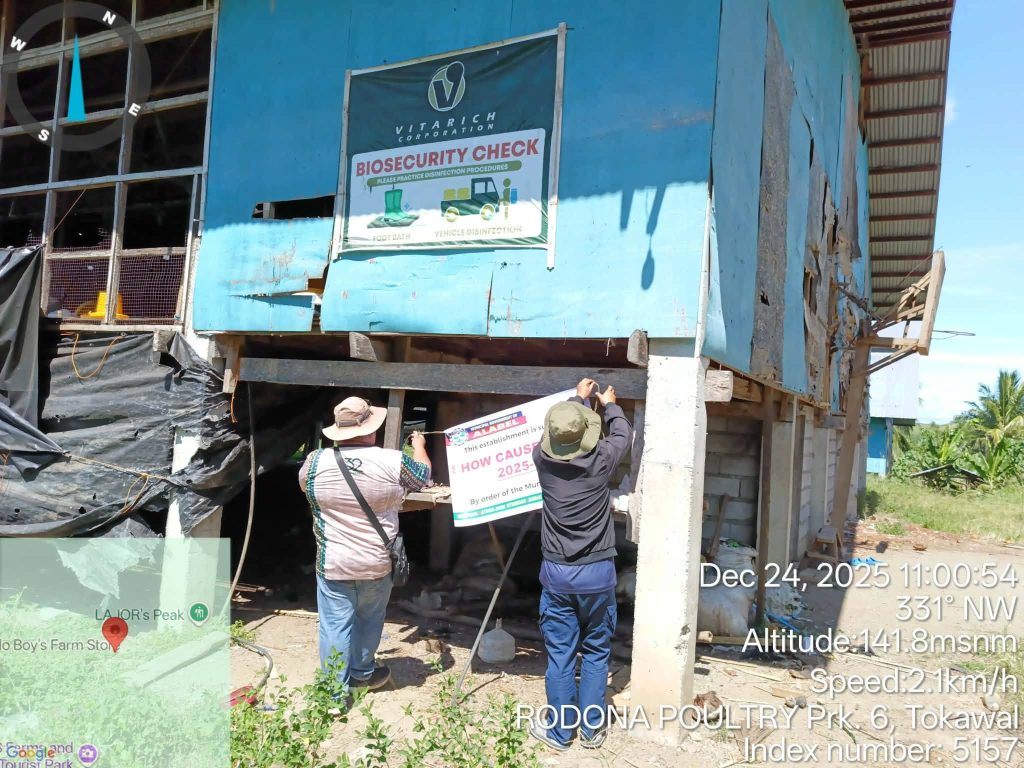 Alabel LGU Cracks Down on Poultry Farms Over Severe Fly Infestation ...