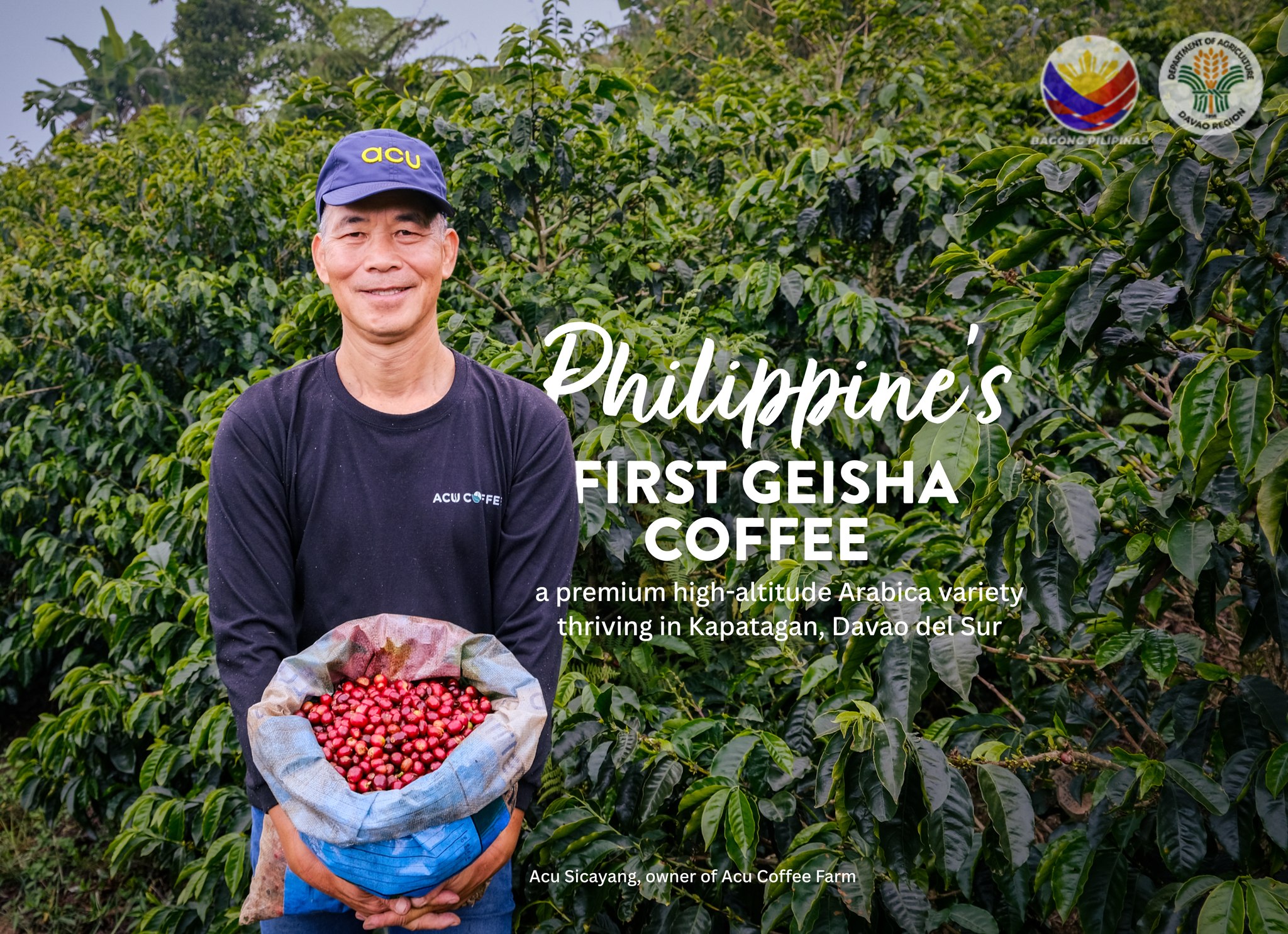 Brewing Gold in the Highlands: How Davao’s First Geisha Coffee Farm Is ...