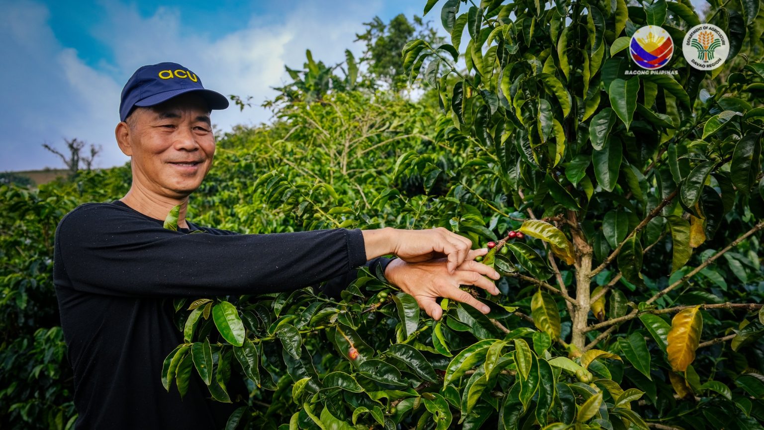 Brewing Gold in the Highlands: How Davao’s First Geisha Coffee Farm Is ...