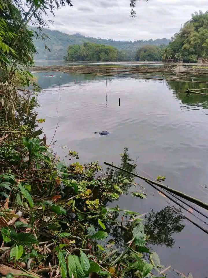 Fisherman Dies After Drowning in Lake Sebu Following Drinking Session ...