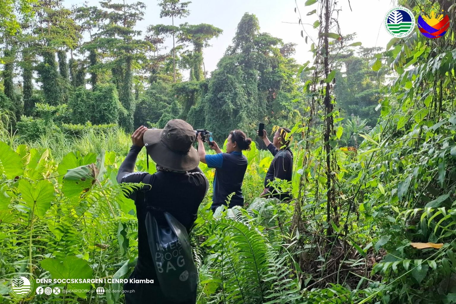 3,000 Bats Recorded in Maitum—A Strong Sign of Life, But a Warning Amid ...