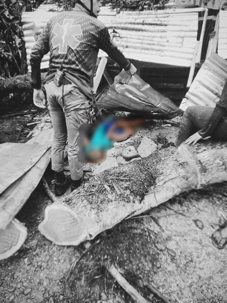12-Year-Old Boy Killed After Tree Topples Amid Strong Winds in Davao ...